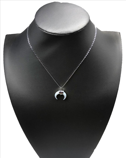 Lindo Collar de Acero con Colmillo y Doble Cuerno